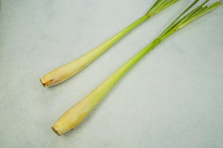 Pantry Guide - Southeast Asian Ingredients - Nomadette