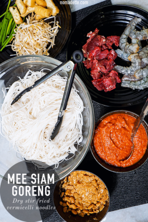 Dry Mee Siam Goreng | Malay stir fried vermicelli - Nomadette