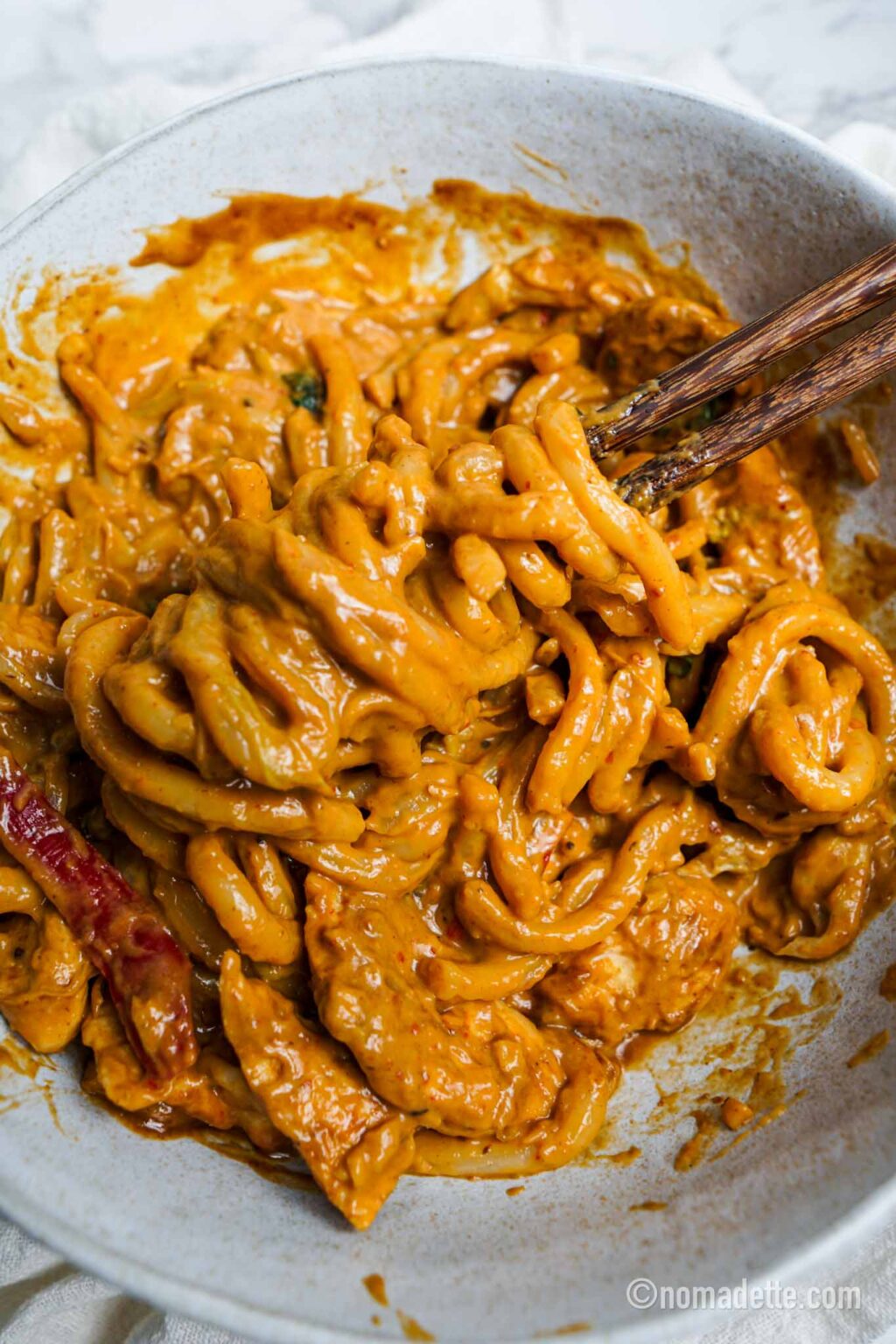 Chicken Satay Udon Noodles - Nomadette