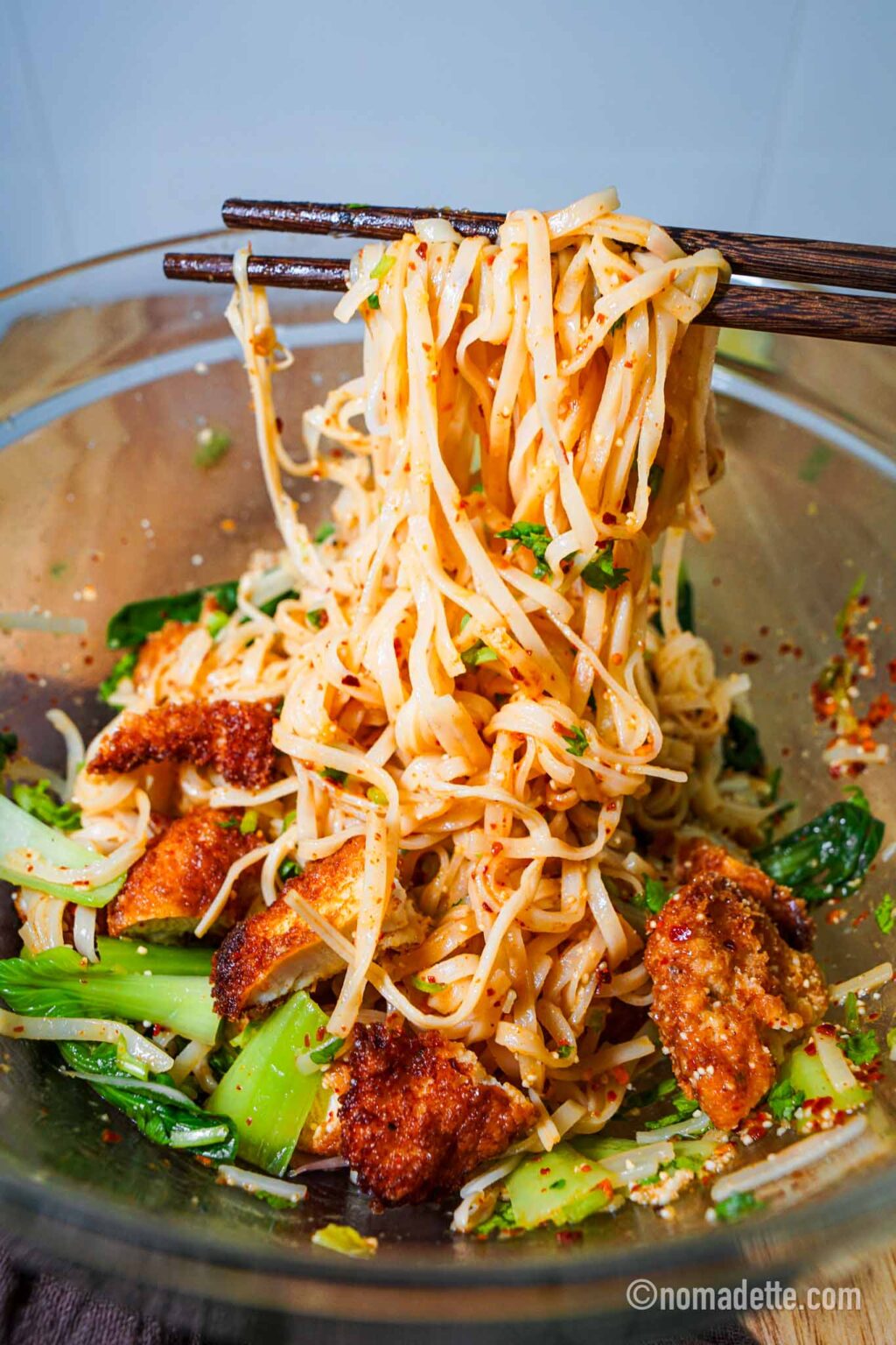 Pad Phet Gai | Thai Spicy Chicken Stir Fry - Nomadette
