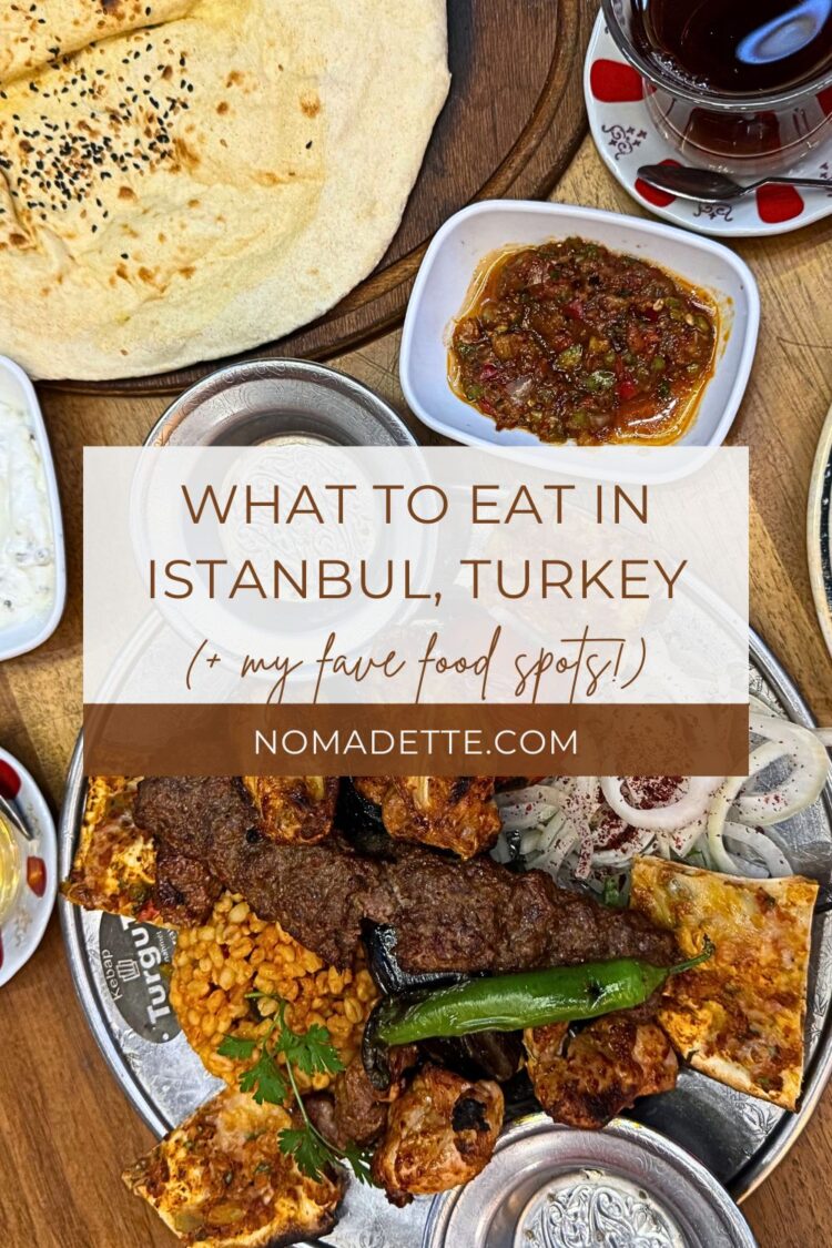 What to Eat in Istanbul: A Food Lover’s Guide! - Nomadette
